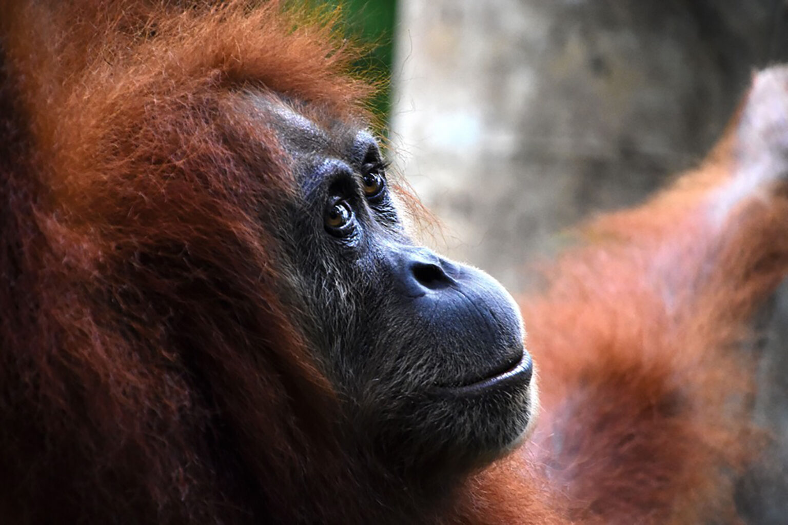 Sabine Geiger im Interview • Fotoreisen.com